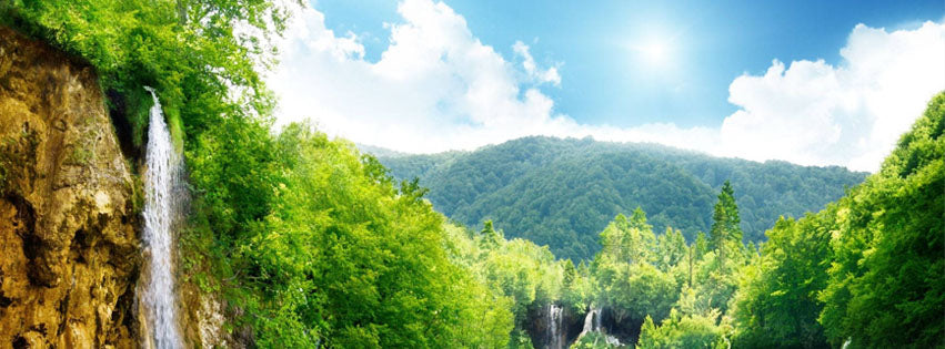 The Three Dosha Explained - Vata, Pitta & Kapha – Ayurveda Woman